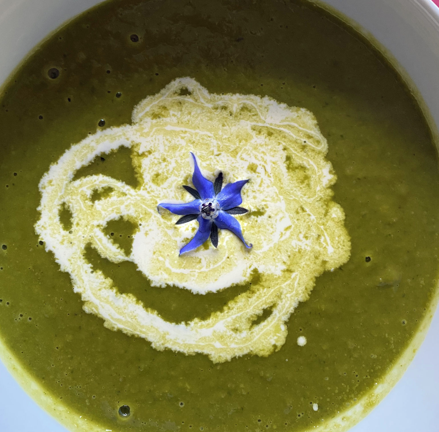 Focus on Borage – Bredfield Wildlife